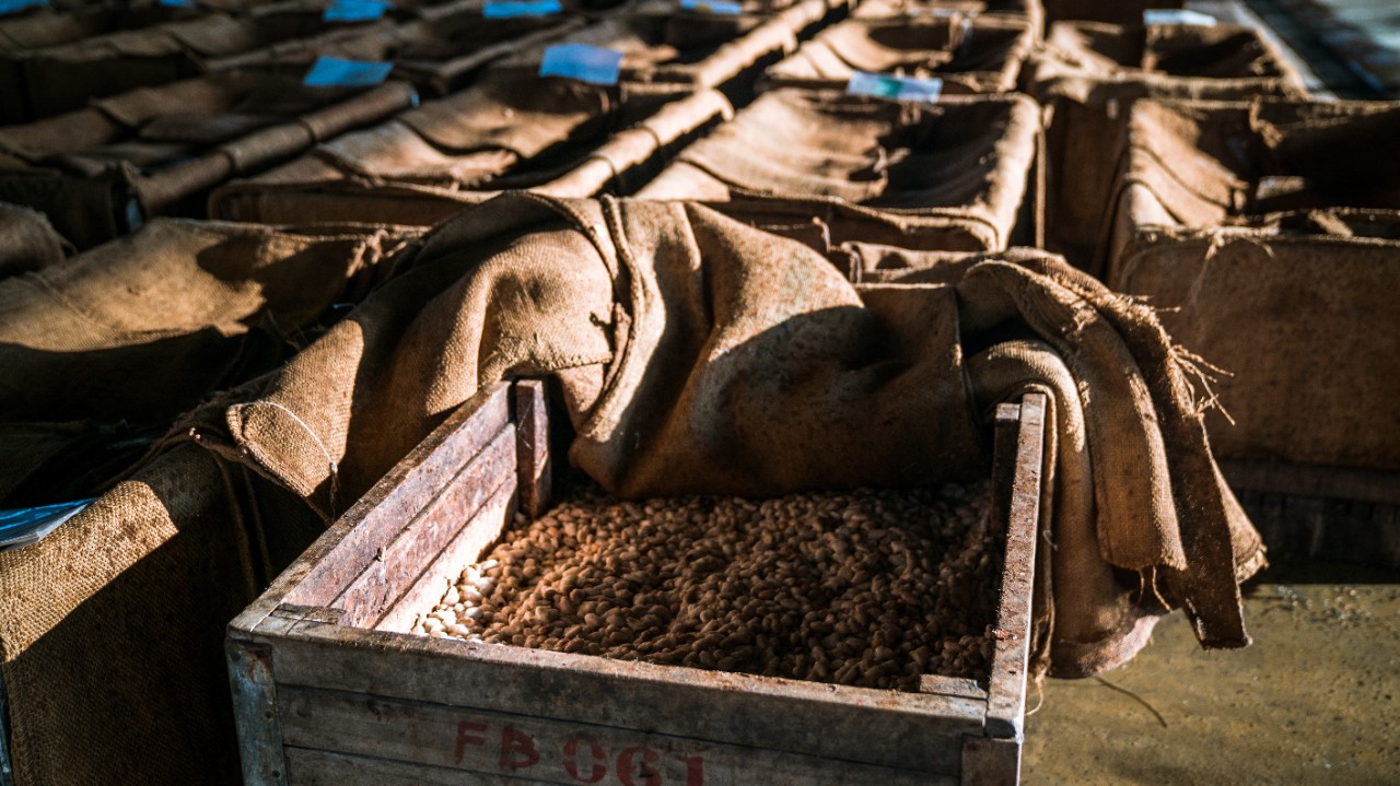 Cacao-Trace - Puratos